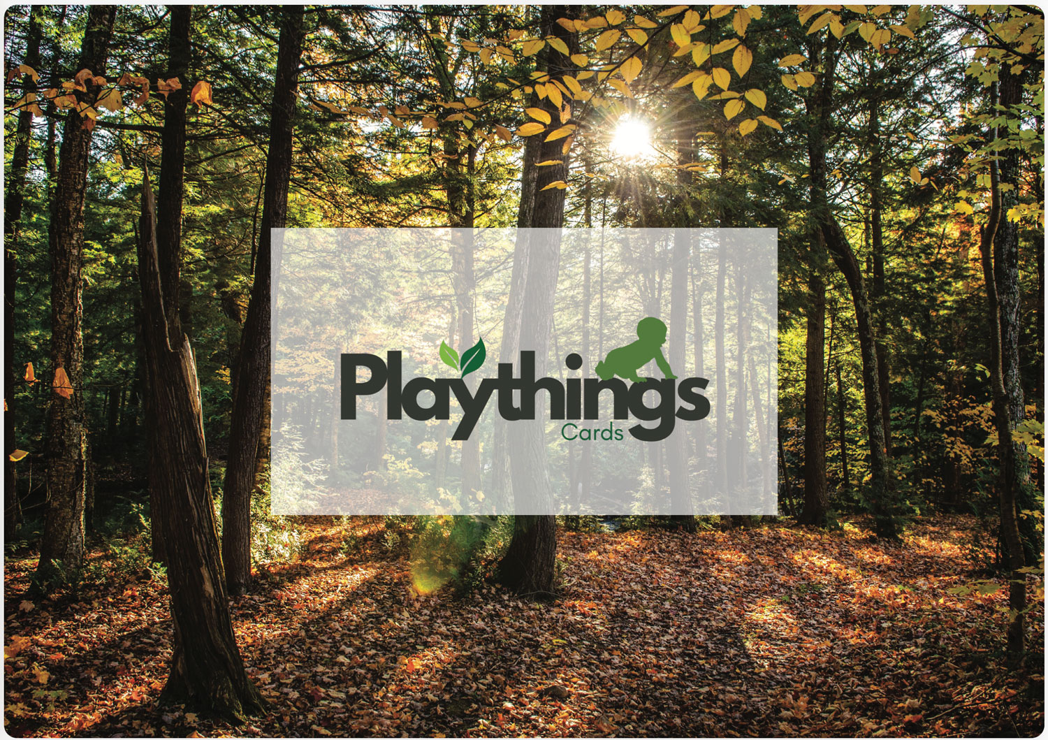 Playthings Movement Cards - Music + Movement